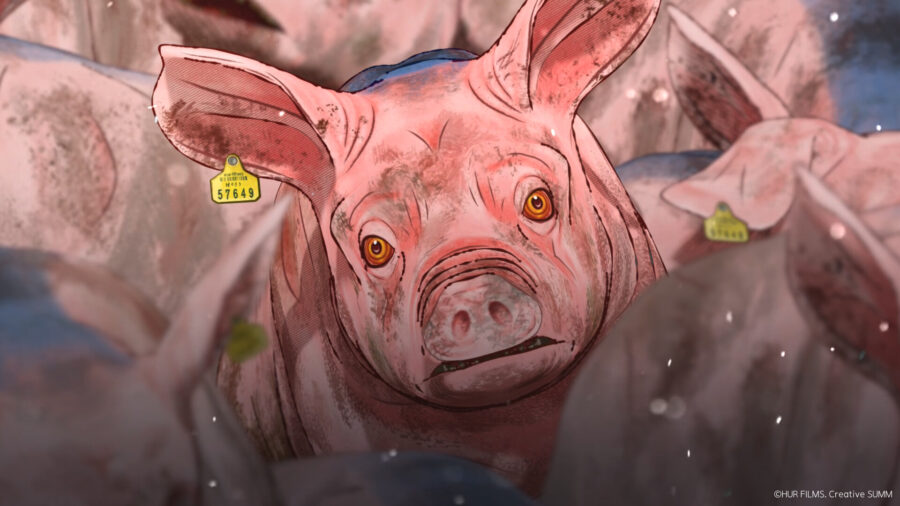 Pig That Survived Foot-and-Mouth Disease – 2025 – 53rd Athens ...